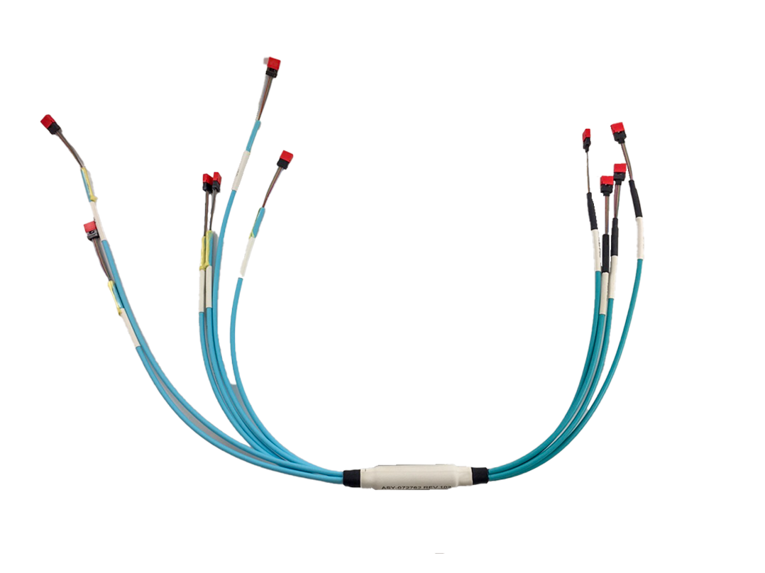 MT to MT 24 Channel Ribbon Cable | Open.Tech