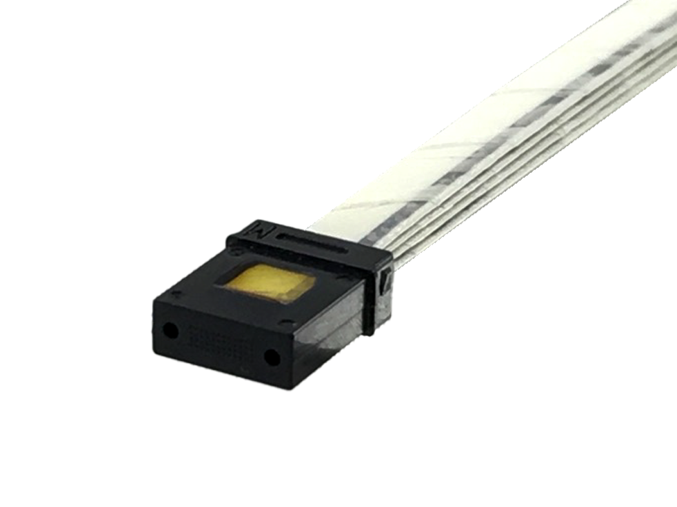 MT to MT 24 Channel Ribbon Cable | Open.Tech